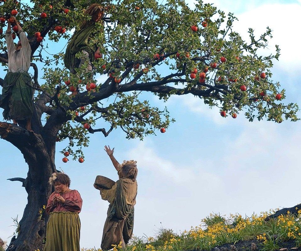 Branching out: Embracing Life’s Fig Tree